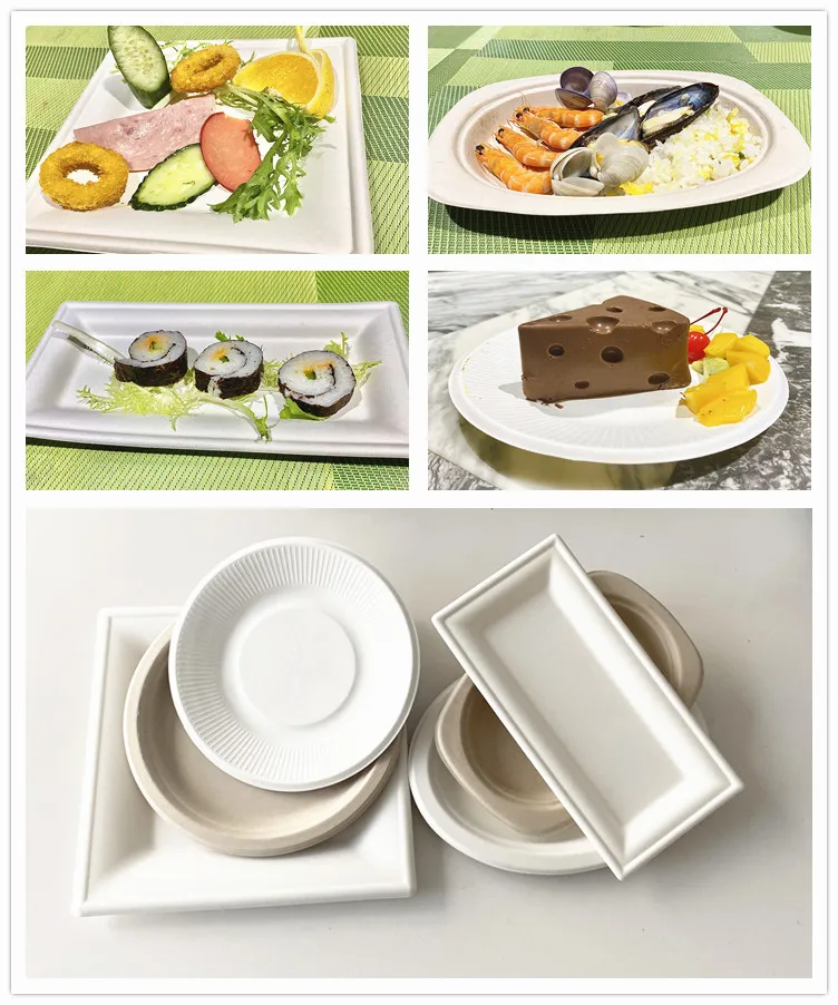 Customization Food Packaging Biodegradable Compostable Plates Sets ...