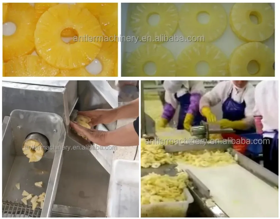 Pineapple Peeling And Cutting Machines - Buy Pineapple Peeling And ...