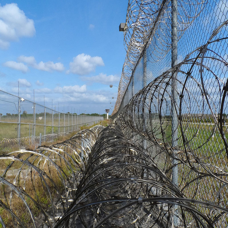 Galvanized Steel Snake Belly Razor Barbed Wire Net with Thorns ...