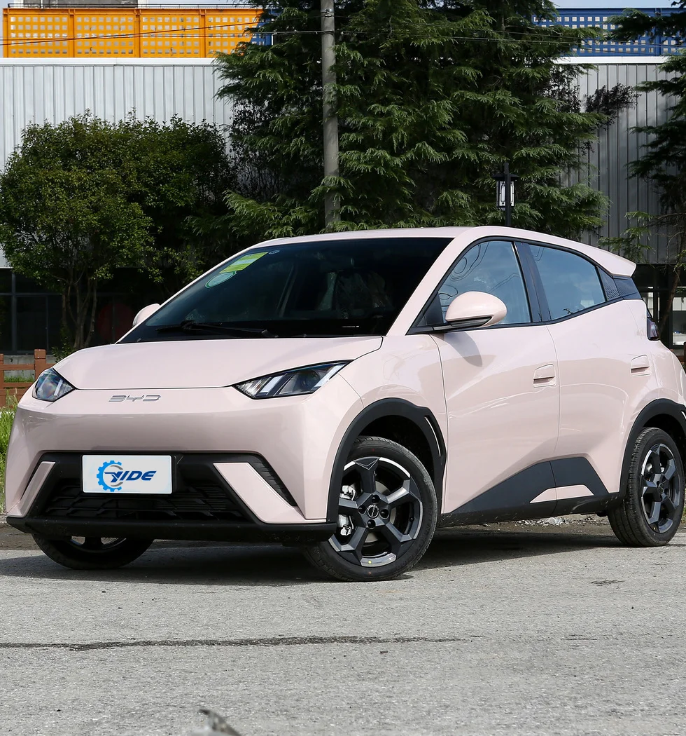 Byd Electric Car Byd Vitality/free Version/ Flying Version 5dear 4 ...
