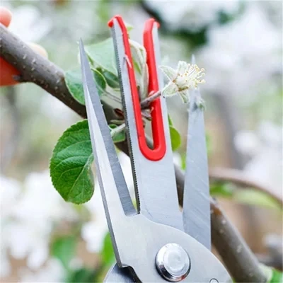 Double-edged Apple Picking Scissors Kiwi Pear Thinning Scissors Double ...