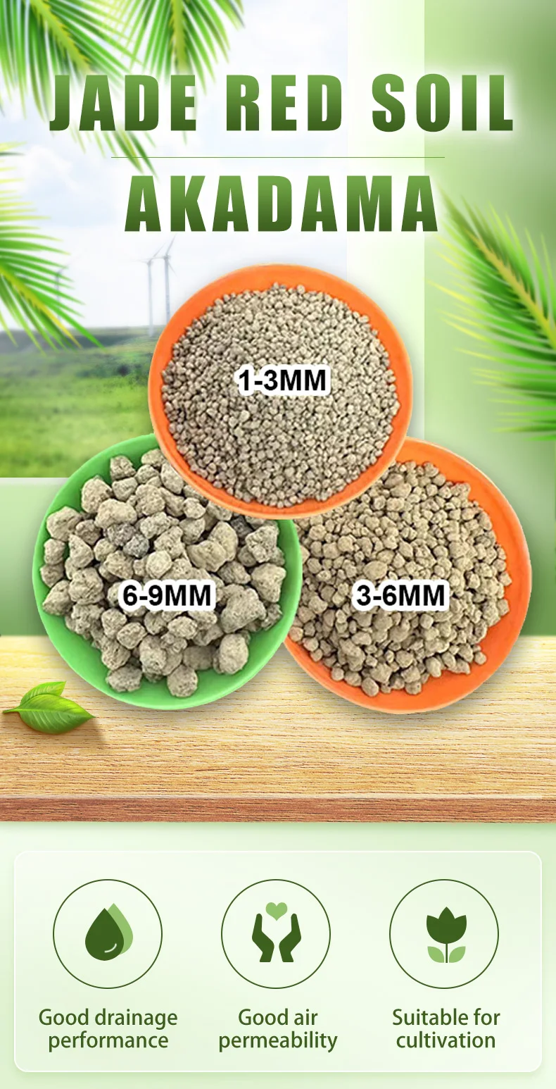 Akadama Bonsai Soil - High Quality Granules for Horticulture