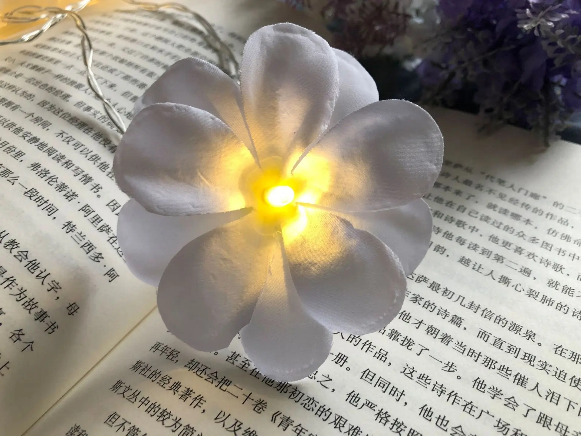 Frangipani Flower Led Led String Light With Flower Other Wedding ...