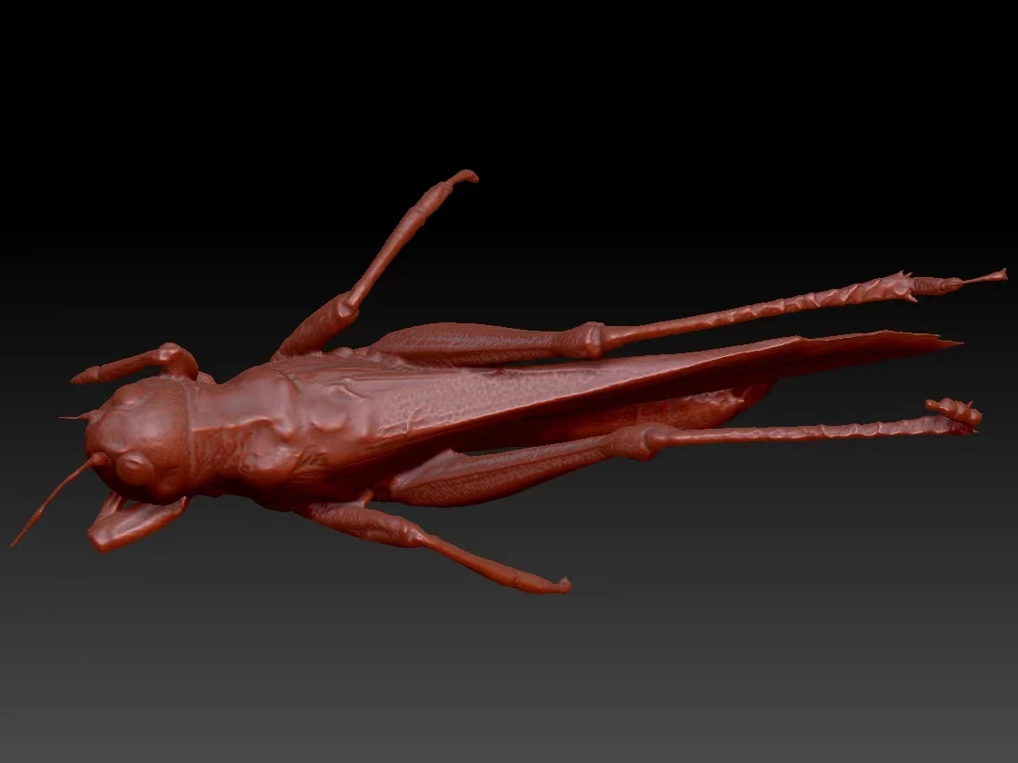 Insect Specimen 3d Scanner Js500 Thunk3d - Buy 3d Modeling 3d Scanner ...