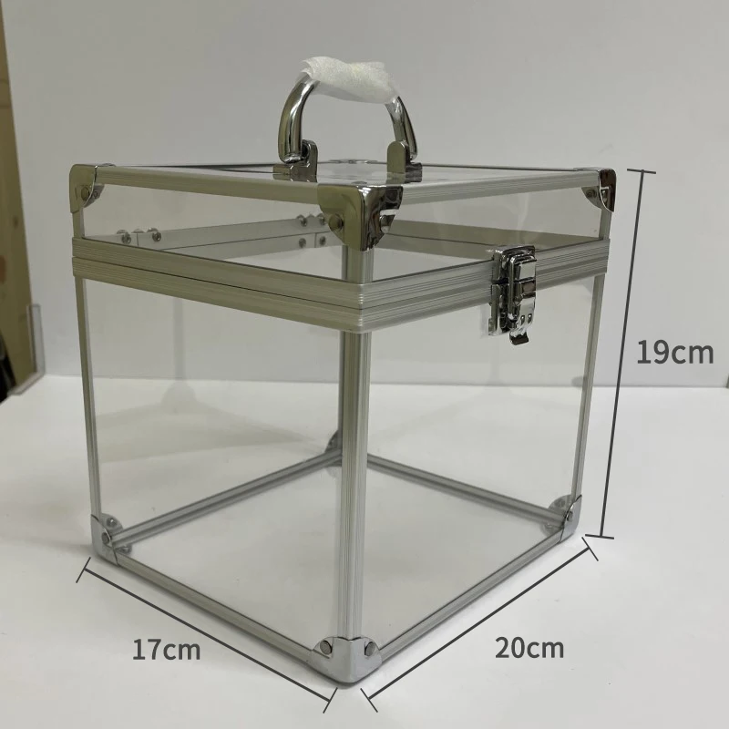 Clear Train Case - Organize Your Crown, Cosmetics, and Tools