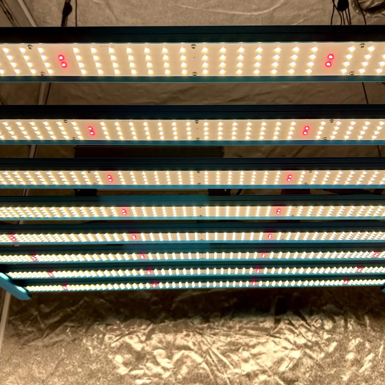 Samsung Lm301h+xp-e2 660nm Kingbrite X55 650w Led Grow Light - Buy ...