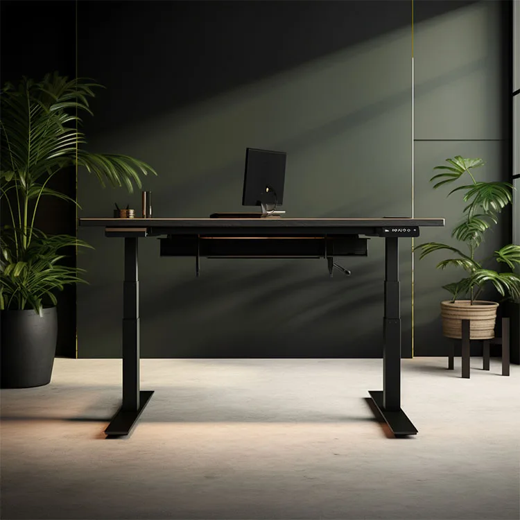 Height Adjustable Electric Table Custom Desktop 2 Motors 3 Stages ...