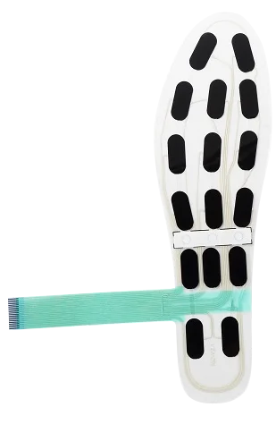 Force Sensing Resistor Multi-zone Plantar Pressure Distribution Thermal ...