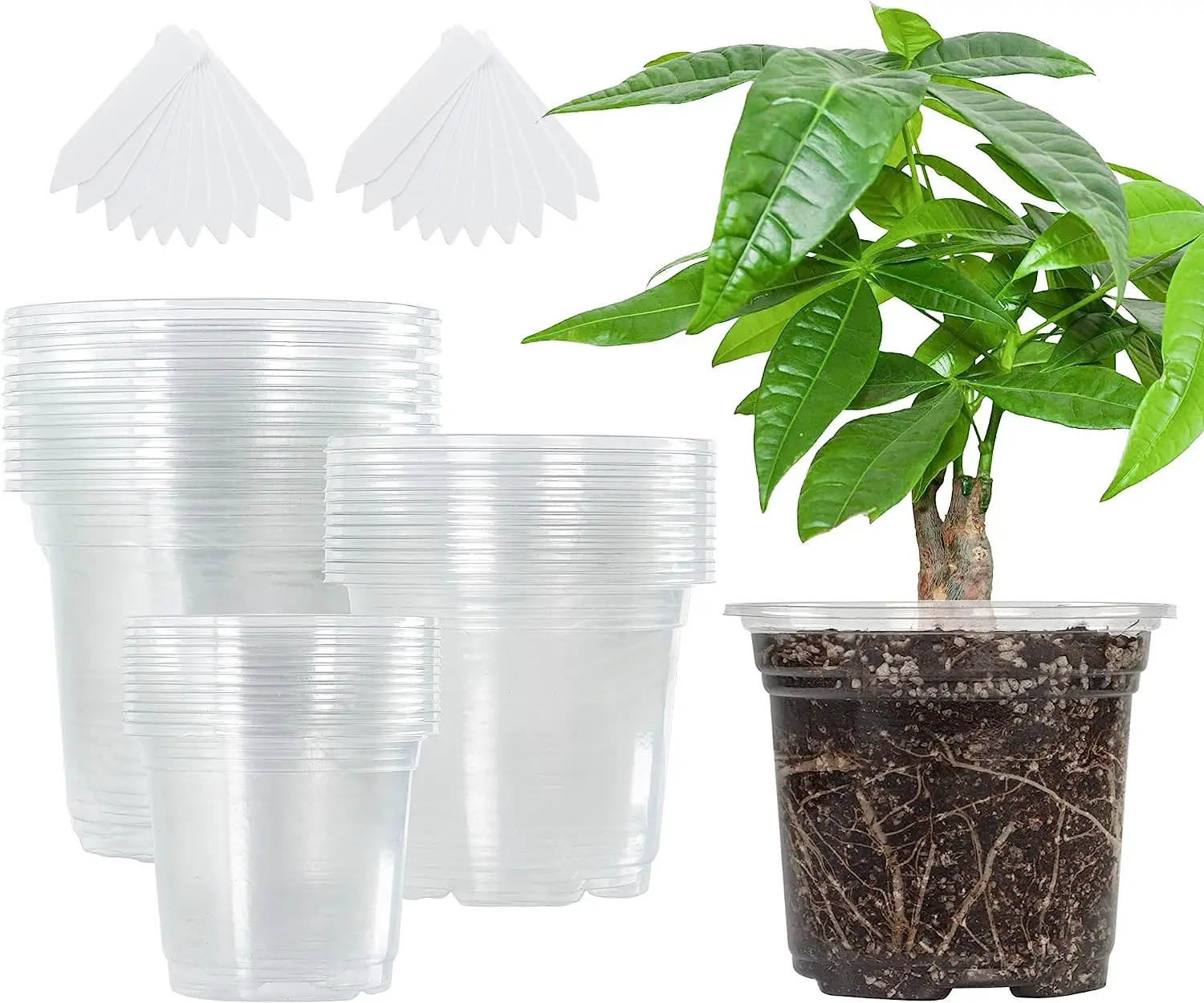 4" Reinforced Transparent Flower Nursery Pots for Easy Transplant ...
