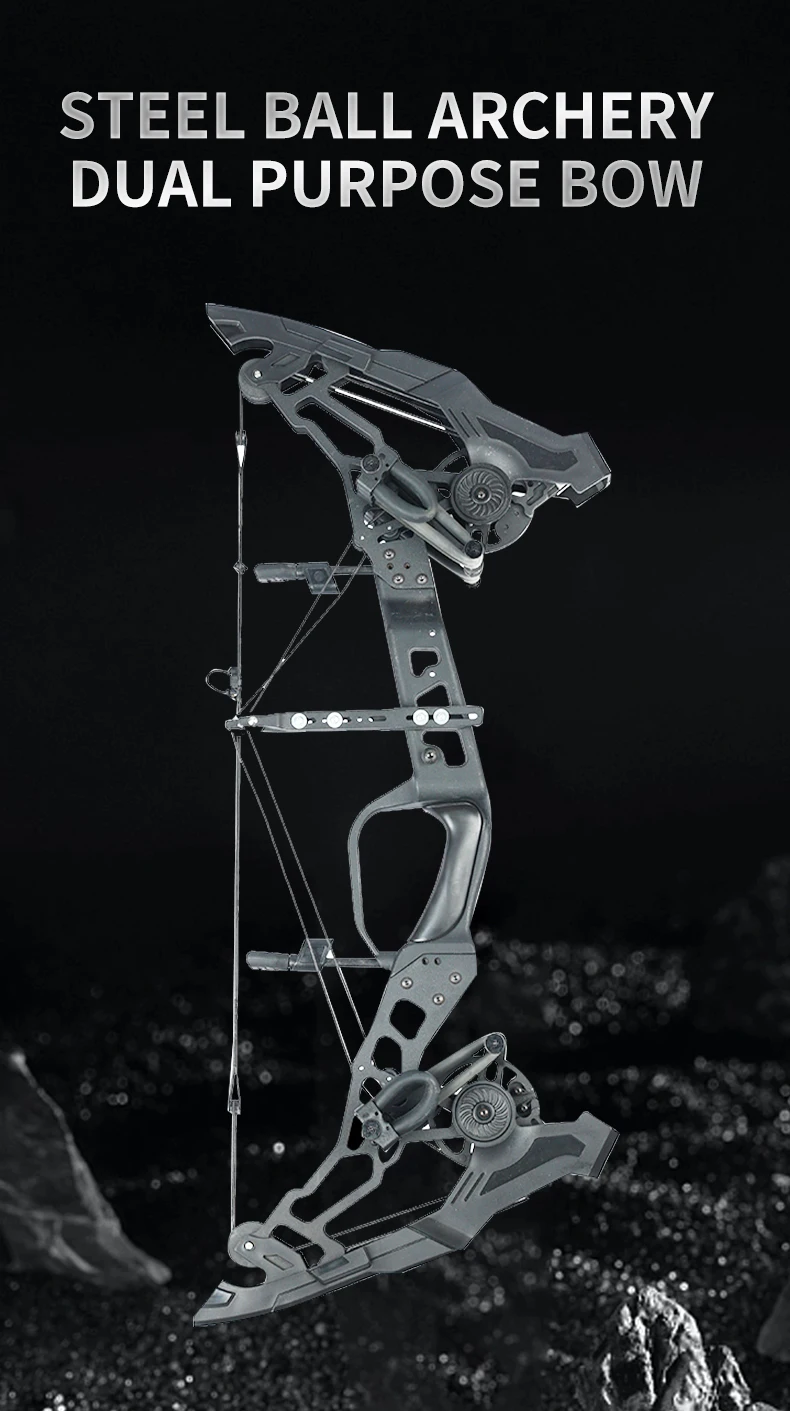 Steel Ball Compound Bow And Arrow Set 20-80lbs Archery Shooting Mixed ...