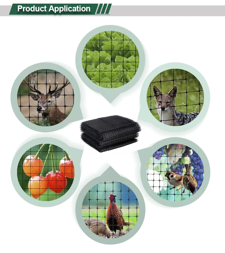 Plastic Deer Fence Anti Mole Netting - Buy Bird Netting Grape Bird ...