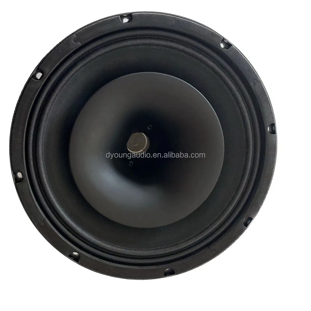 15 Inch Monitor Full Range 3 Inch Coil Neodymium Speaker