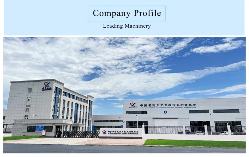 Fully Automated Industrial Mango Processing Production Line Mango ...