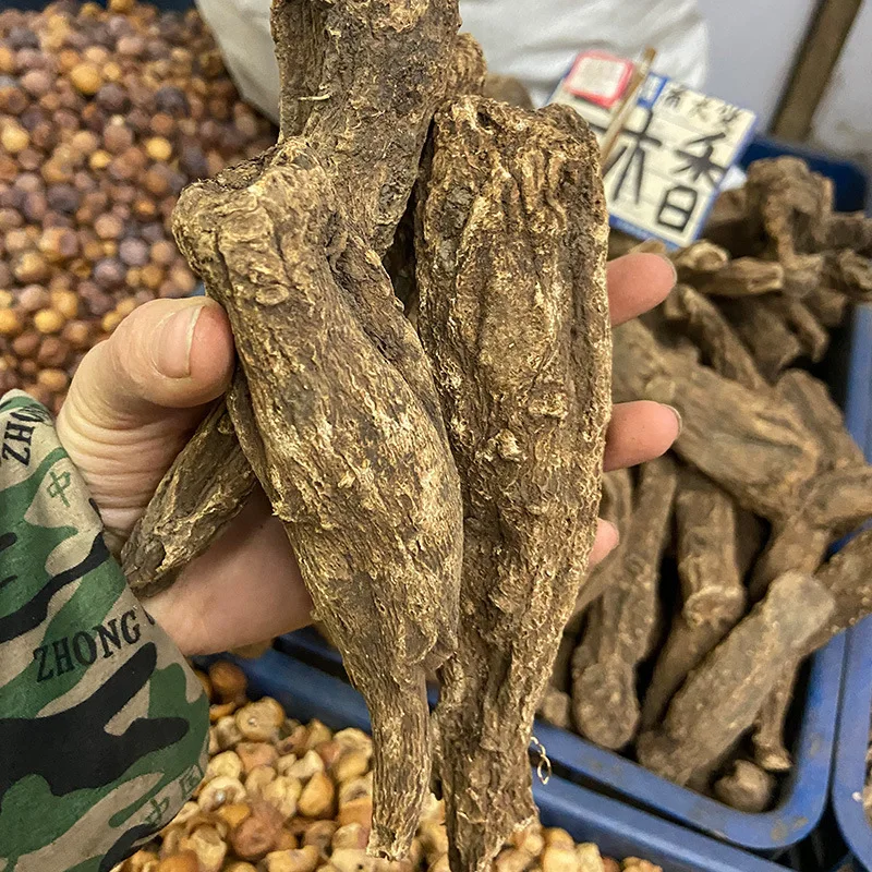 Radix Saussureae Lappaeyun Mu Xiang Bulk Whole Dried Saussur Costus ...