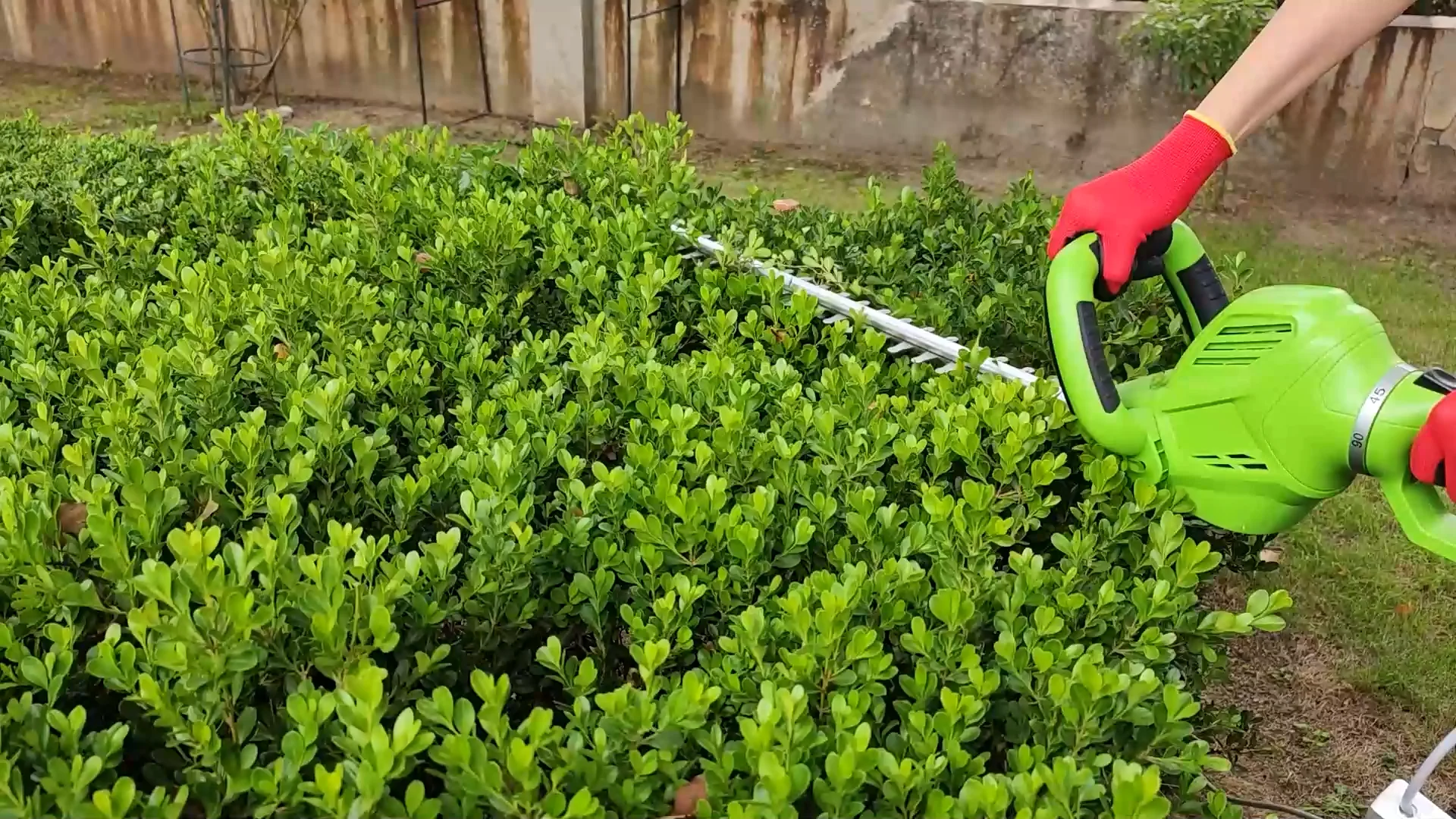 Vertak 520w Garden Tree Hedge Trimmer Machine China Electric Powerful ...