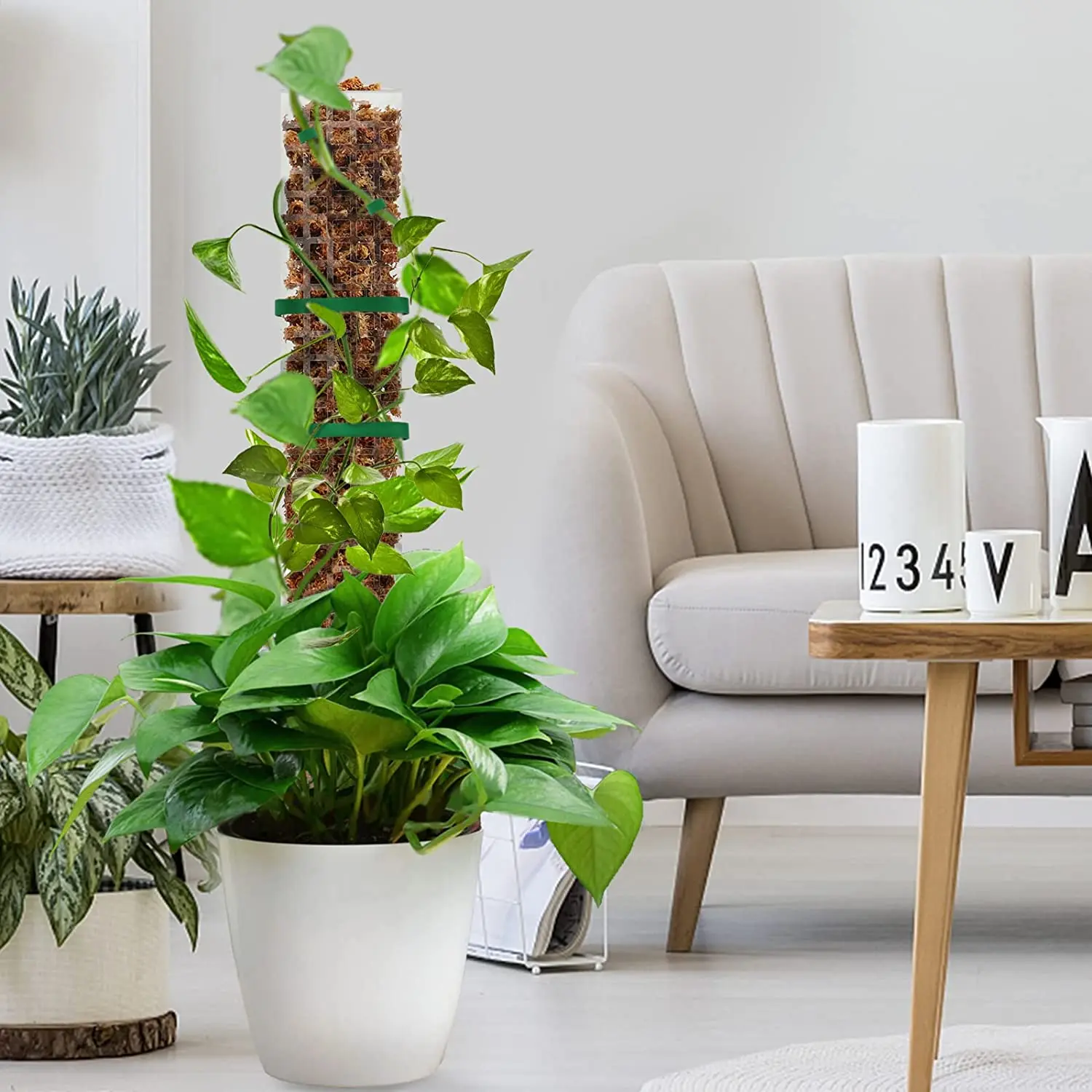 24 Inch Stack Clear Plastic Moss Pole for Houseplants