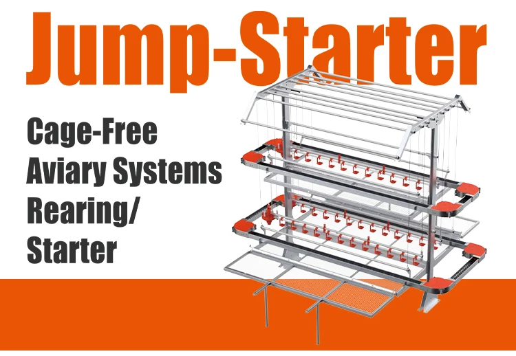 Aviary System for Hen Laying - Free Range & Easy Maintenance