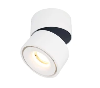 2021 Led Tiltable Lighting Cob 13w Led Surface Downlights Ceiling Mount ...