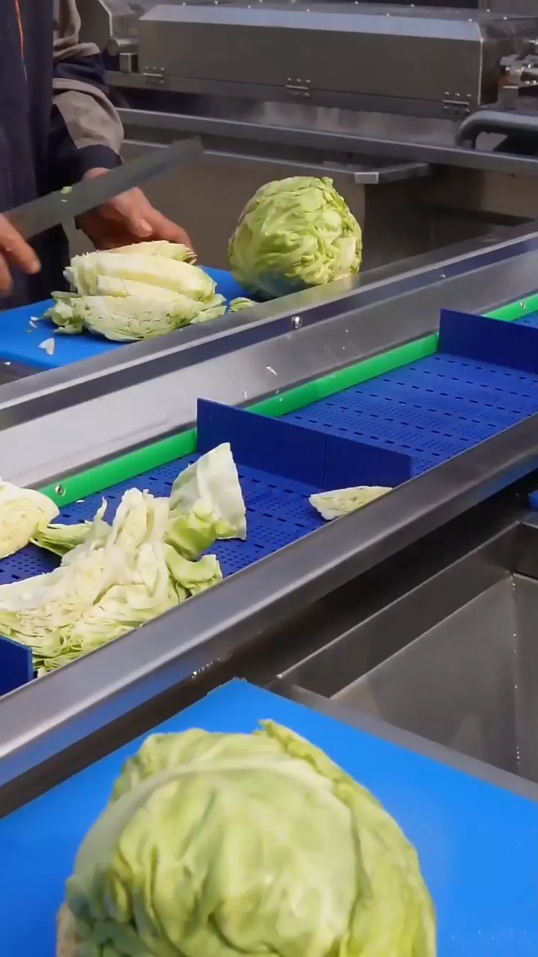 Full Automatic Industrial Clean Root Leafy Vegetable Washing Processing ...