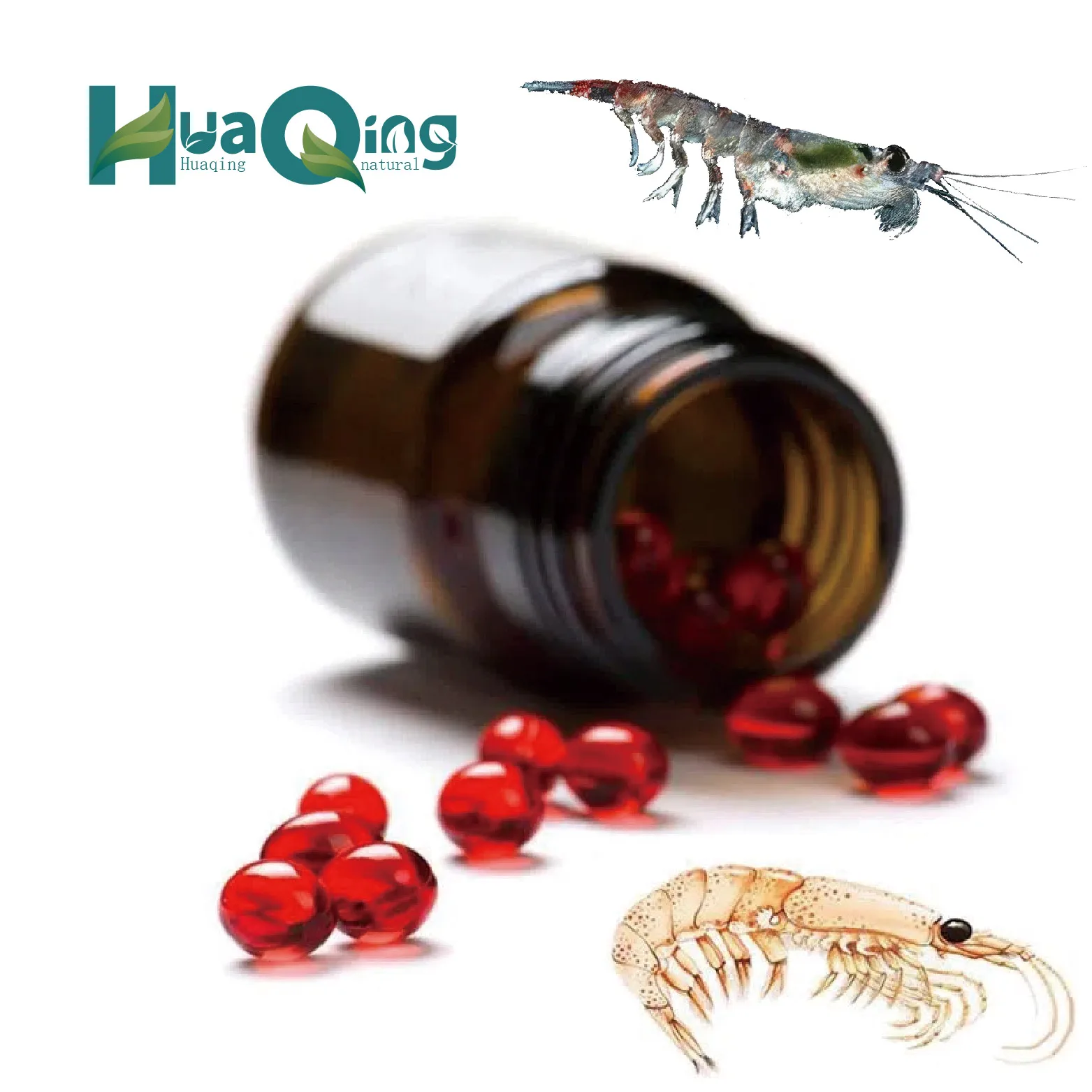 Wholesale Bulk Natural Animal Feed Antarctic Krill Meal Powder