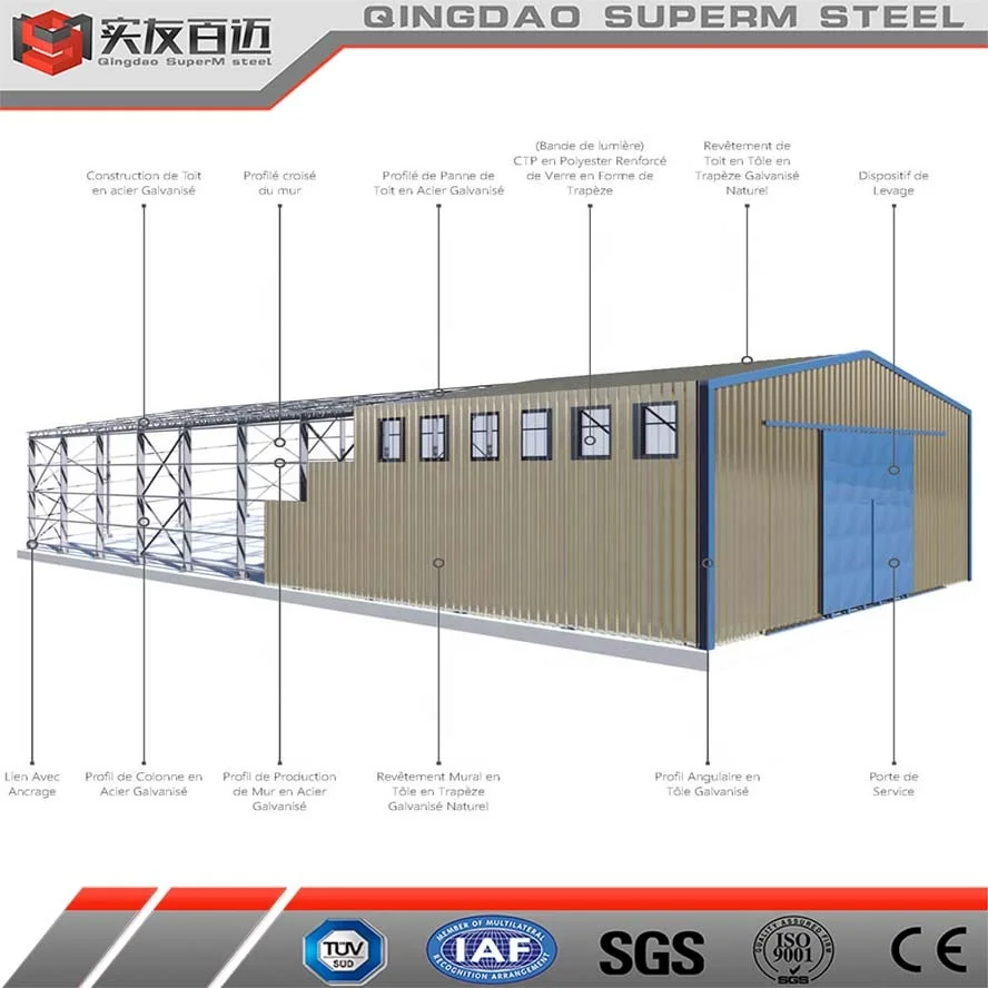 Prefab Steel Structure Frame Hangar - Insulated & Durable