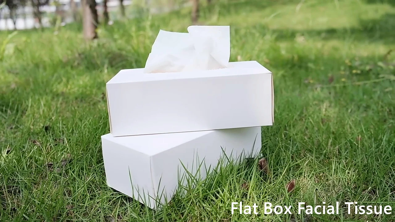 Bestseller Embossed Bag Facial Tissue - 2-3 Ply, 70-200 Sheets