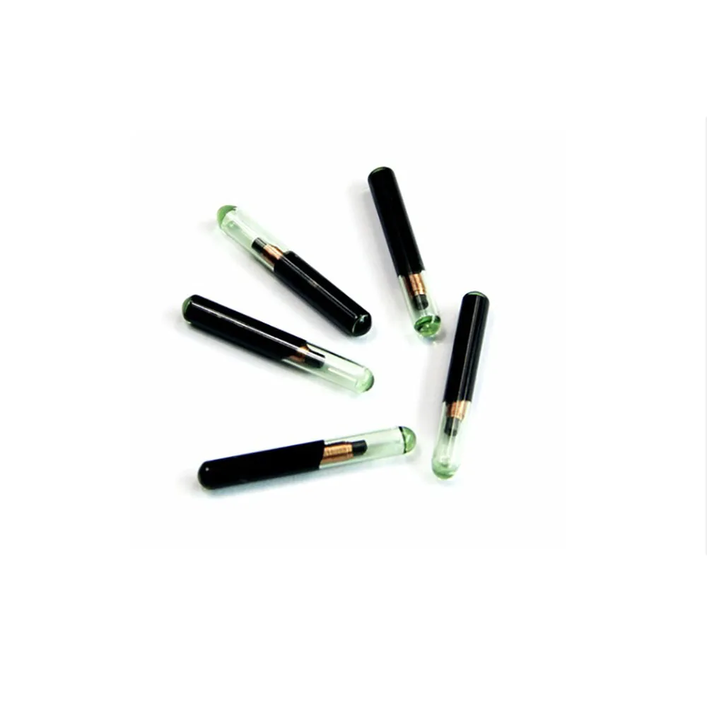 Animal Rfid Pet Id Tag 134.2khz Pet Injectable Cat Rfid Tag Tracking ...