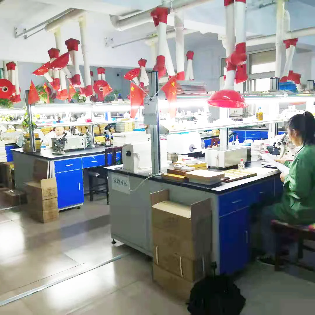 100 Pieces Human Histology Prepared Microscope Slides Set School And ...