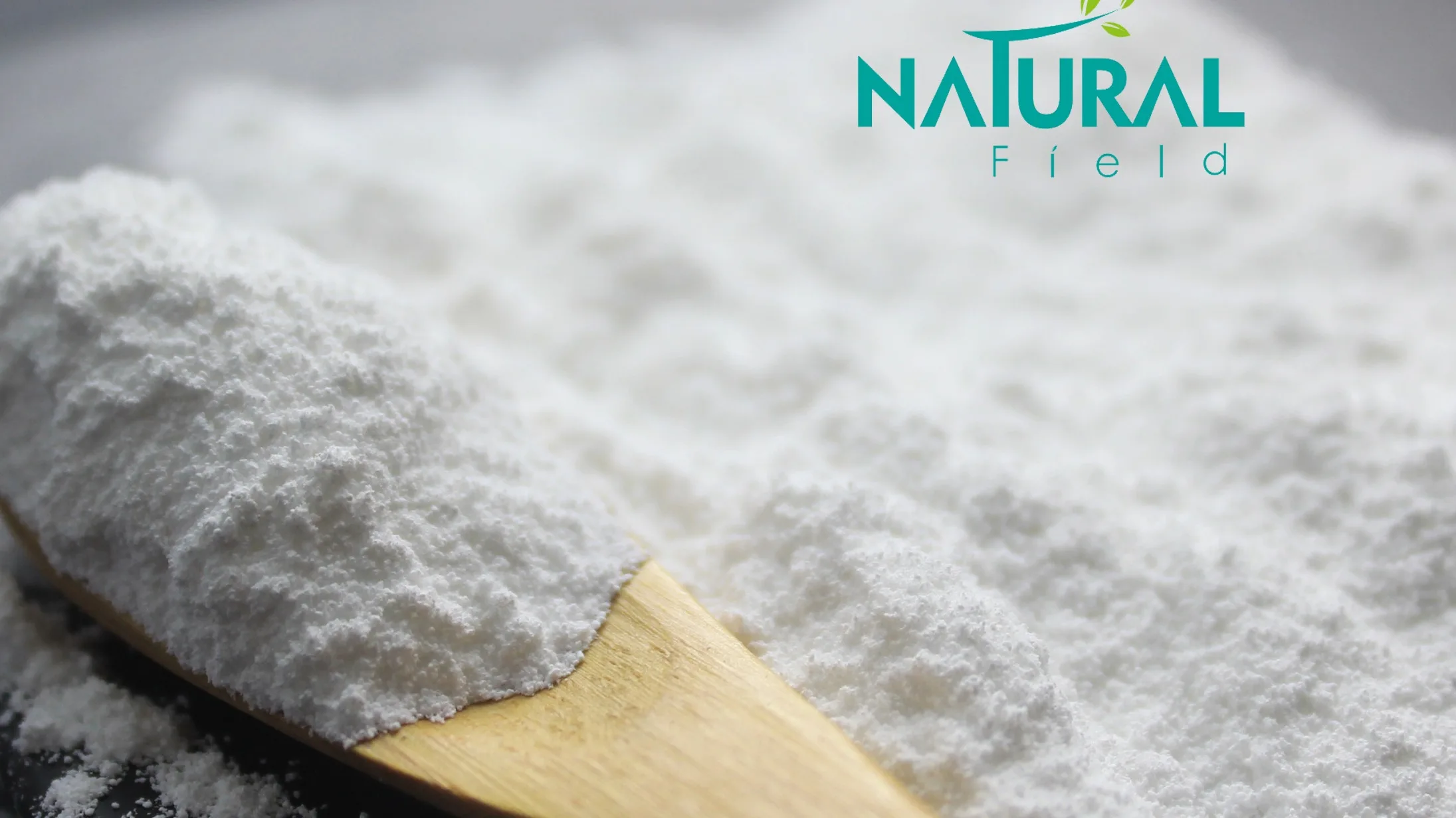 Nuciferine Extract,Nuciferine 2%,Lotus Leaf Extract Powder - Buy Lotus ...