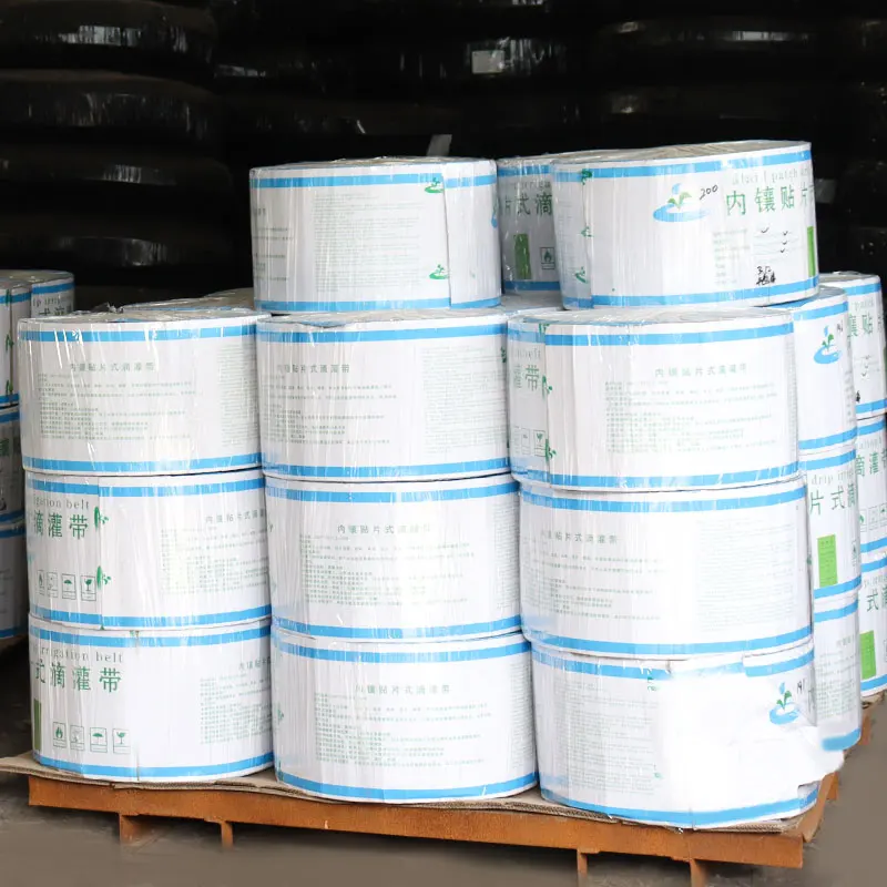 1 Hectare Drip Irrigation Full System Kit Double Outlet 100 Spacing ...