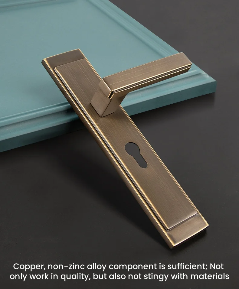 Interior Modern Knobs Luxury Wooden Lever Privacy Brass Main Internal ...