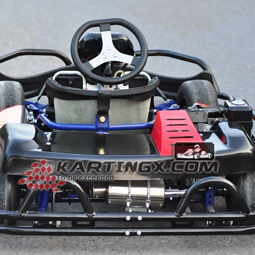 CE Approved 200cc engine F1 Racing Go Kart| Alibaba.com