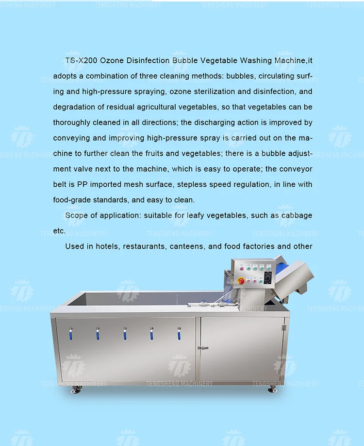 High Efficiency Vegetable Fruits Cleaning Washing Line