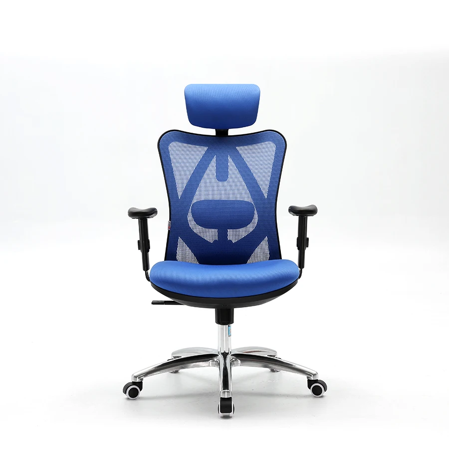 Guangzhou Sihoo Computer Ergonomic Luxury Modern Executive Back Support ...