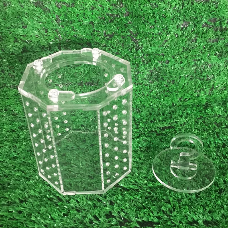 Acrylic Insect Cages for Cricket & Grasshopper Hooks, Escape Proof ...