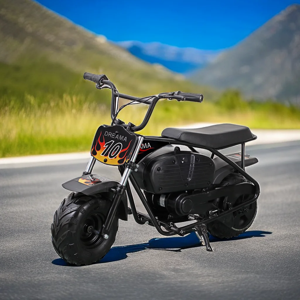 Powerful 125cc Gas Powered Mini Off Road Motorcycle - OEM | Wholesale