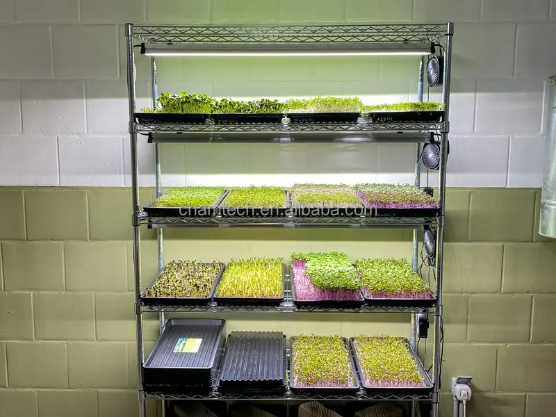 Factory Direct Sale Microgreen Flood Table With Custom Size And Flood ...