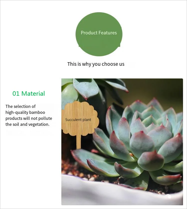 Eco Friendly Garden Tags Bamboo Sign Flowers Plants seeds Herb Garden ...