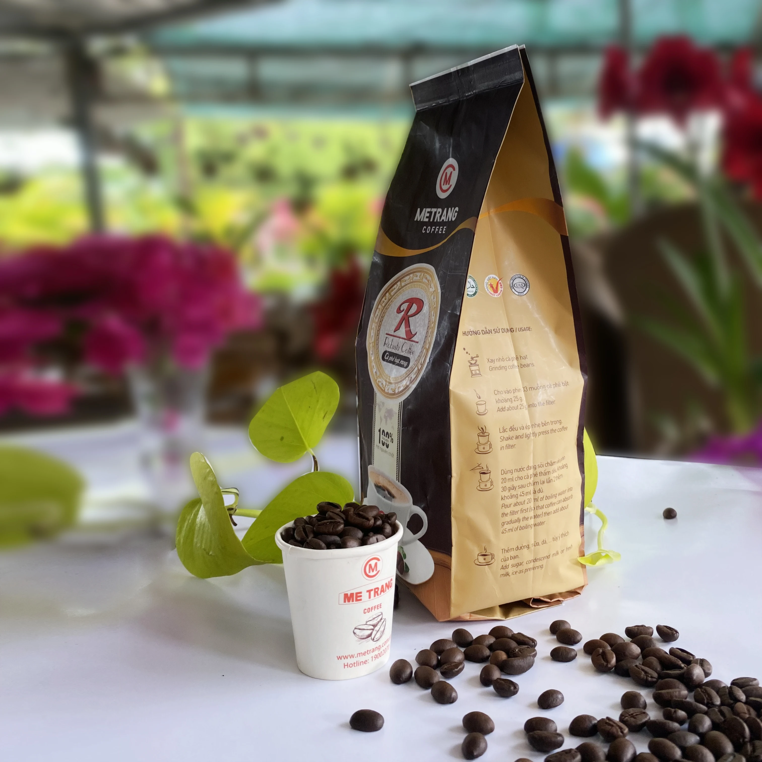 HACCP HALAL Certified Robusta Coffee Beans Medium Roast From Vietnam ...
