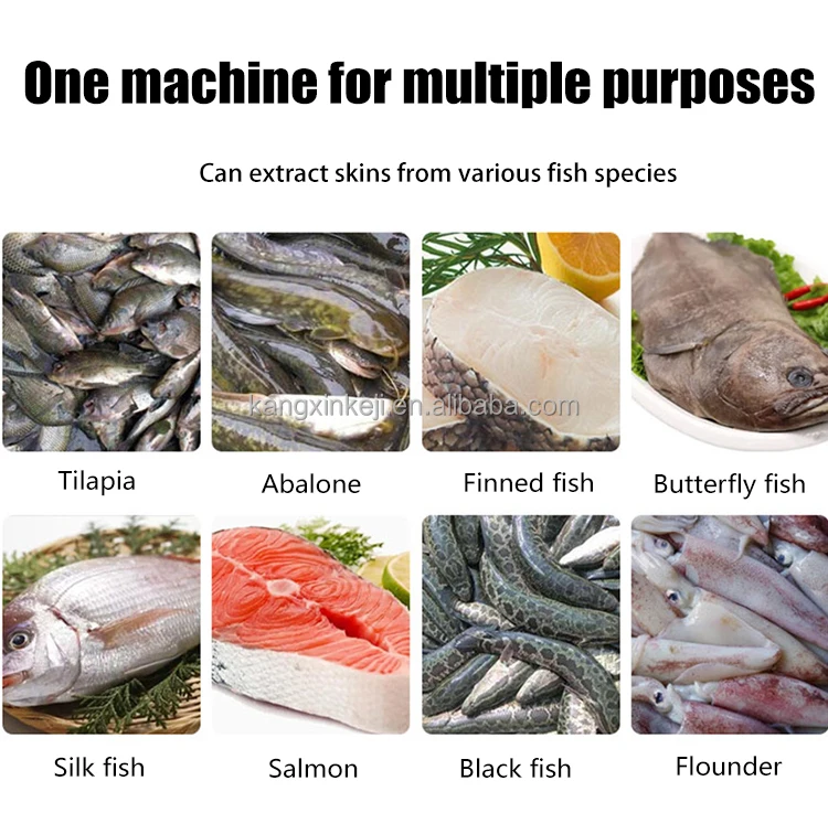 Industrial Skin Removing Automatic Squid Skinner Machine Of Cutting ...