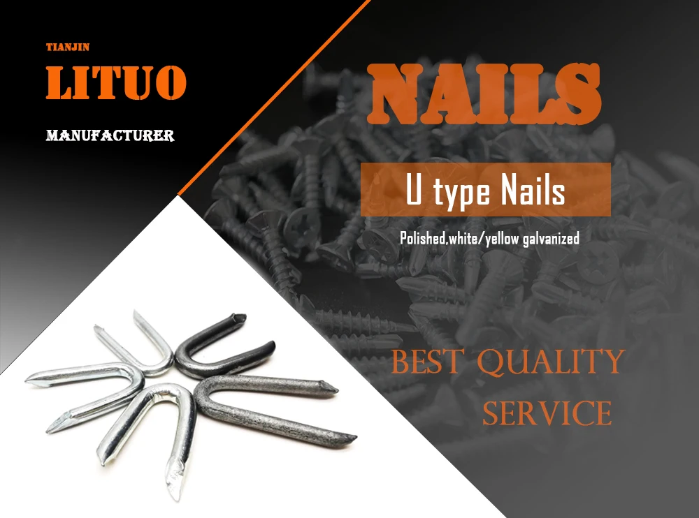 U Type Nails Fence Staple Stamped Point Hot Dip Galvanized/ Polished ...