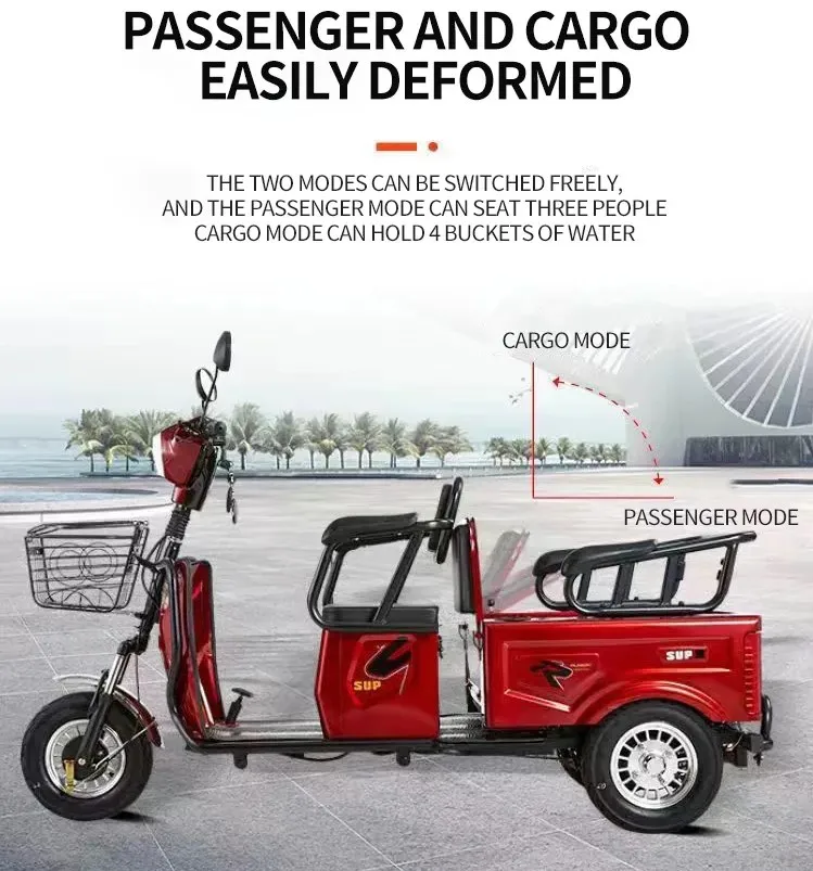 Fat Bike Electric Panel Rickshaw Car Camper Electric Tricycle Petrol 3 ...