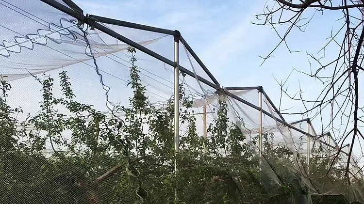 Plant Supply Car Hail Protection Anti-hail Net Covers / Agricultural ...