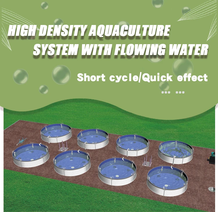 High-density Industrial Fish Farm Recirculating Aquaculture System Fish ...