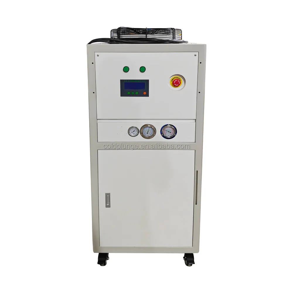 3HP 5HP Pool ice bath chiller| Alibaba.com
