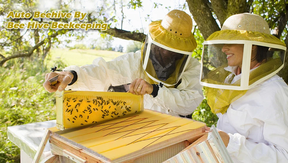 Auto Flowing Bee Hive Kit - Efficient Beekeeping Solutions