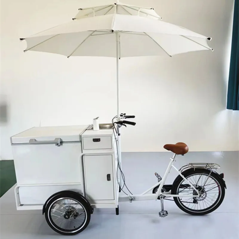 Retro Original Alloy Electric Ice Cream Cooler Scooter Freezer ...