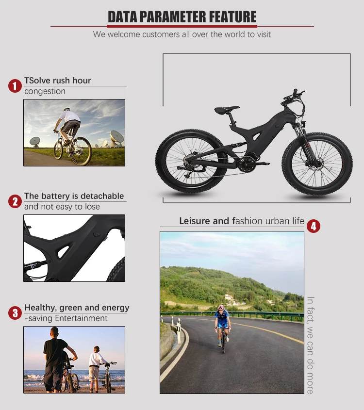 Carbon Fiber Mid Engine e bike 45Km/h Electric Bicycle Bike 48V 1000W ...