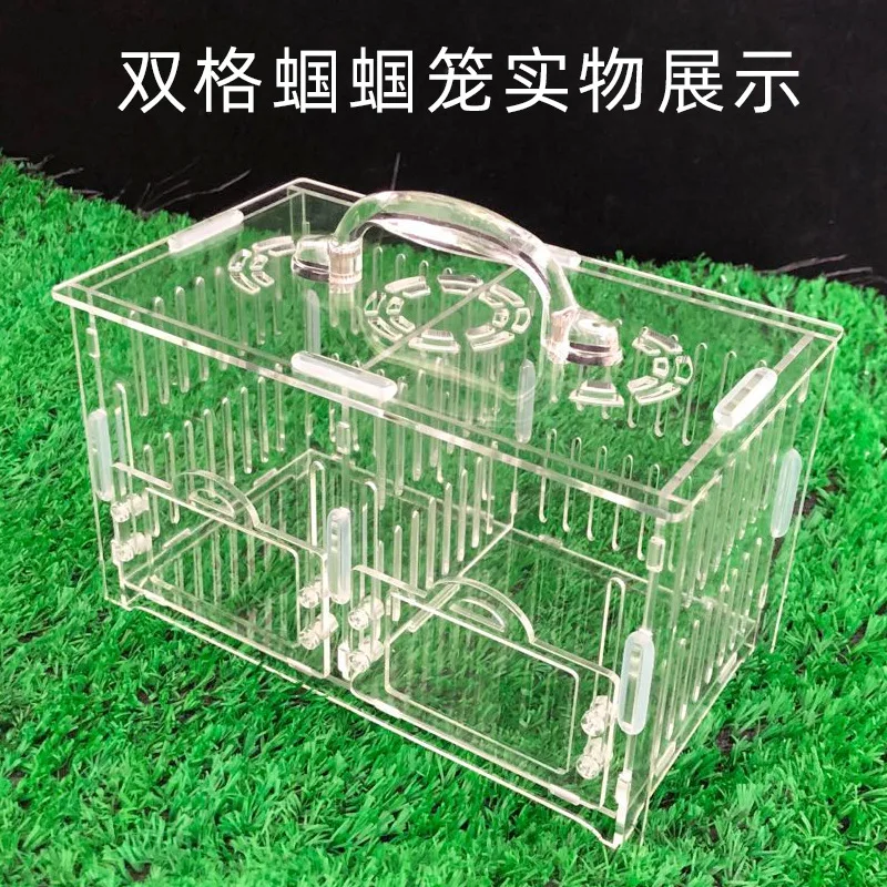 Acrylic Insect Cage - Perfect for Grasshoppers & Crickets