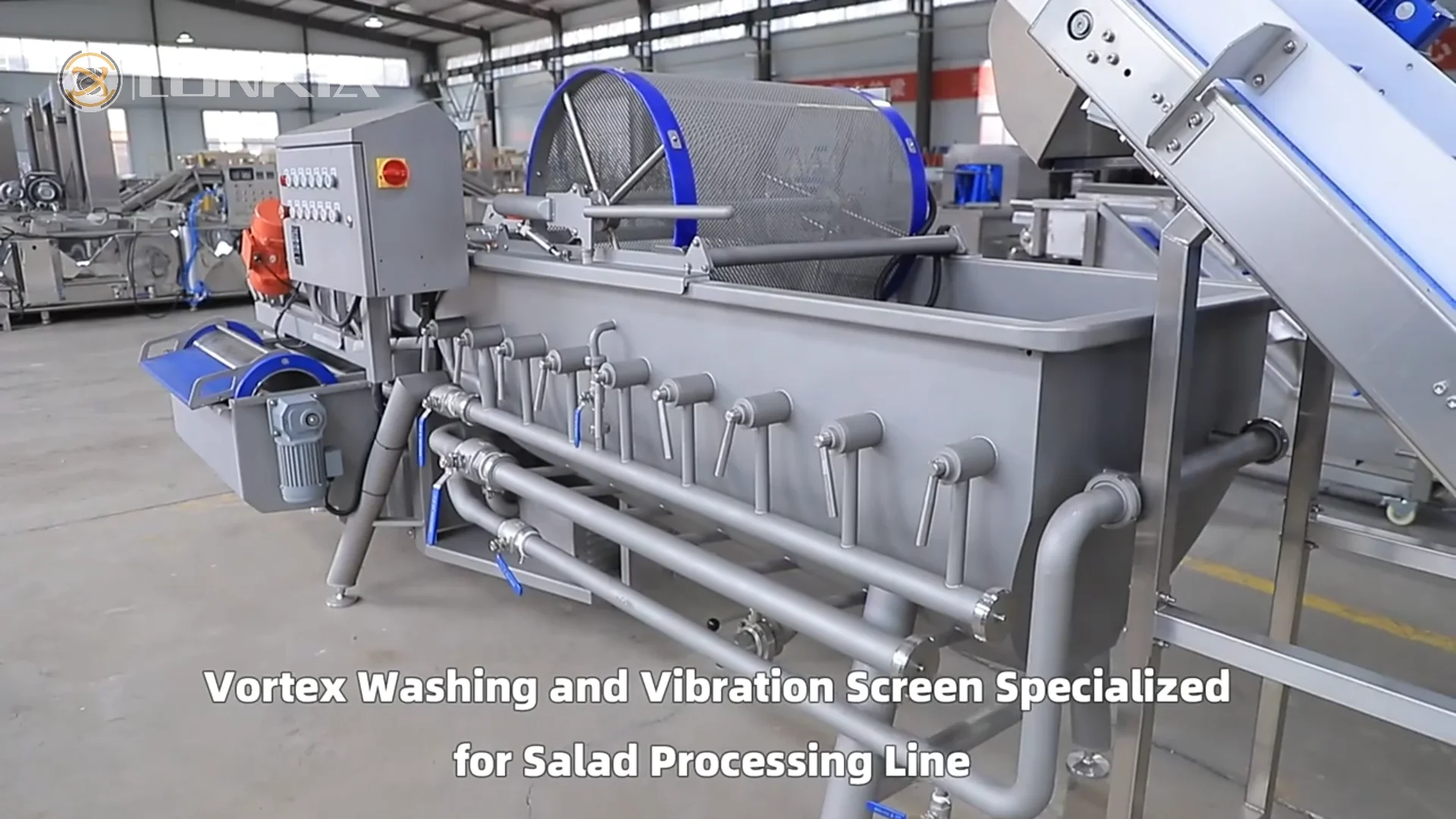 Lonkia Professional Vortex Washing Machine Leaf Vegetable Air Bubble ...